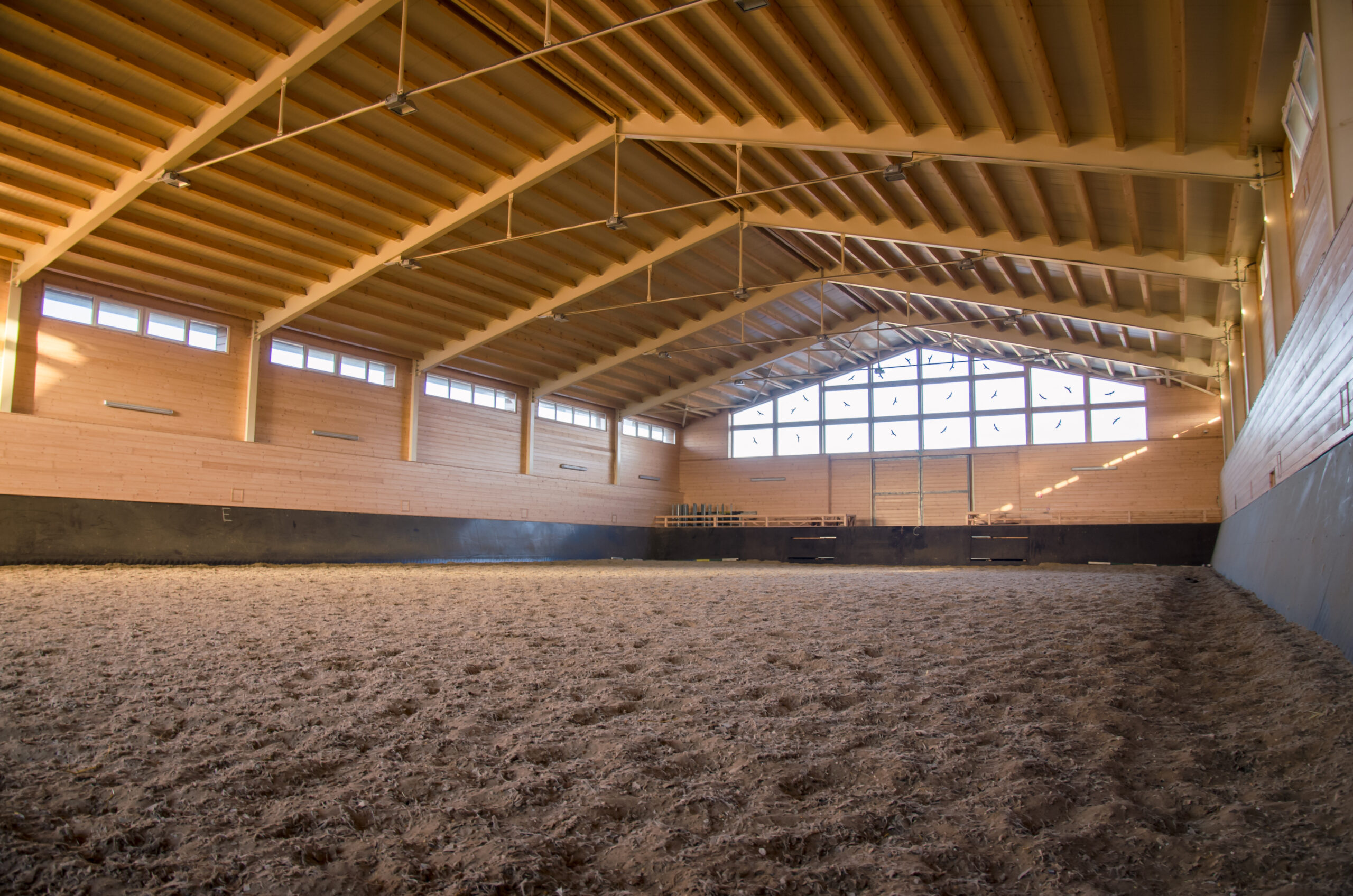 The Importance of Sand in Equestrian Arenas and Horse Training Facilities
